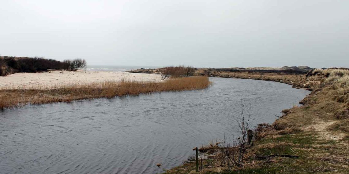Regeringens vandplanerne: Flere vandløb og søer skal forbedres – og det ...