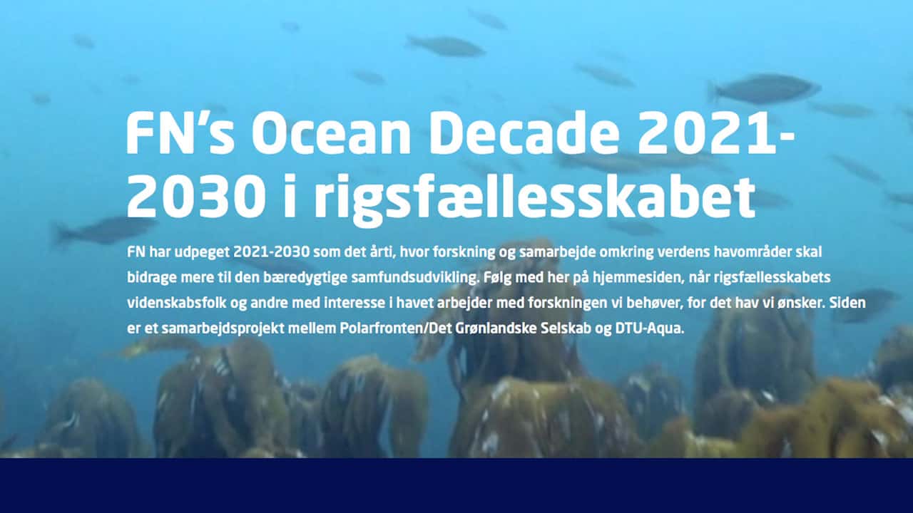 FN’s Ocean Decade mellem 2021 og 2030 - FiskerForum