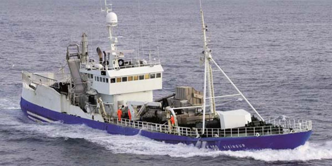 Kvaliteten af den islandske lodde er i top - FiskerForum
