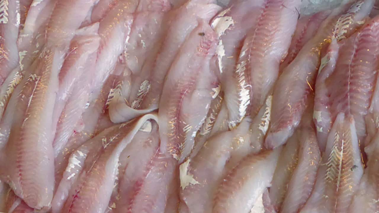 Forbrugerne forstår ikke hvorfor handel med russisk fisk ikke er ...