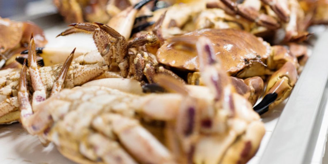 Populære krabber fra Lemvig rives væk - FiskerForum